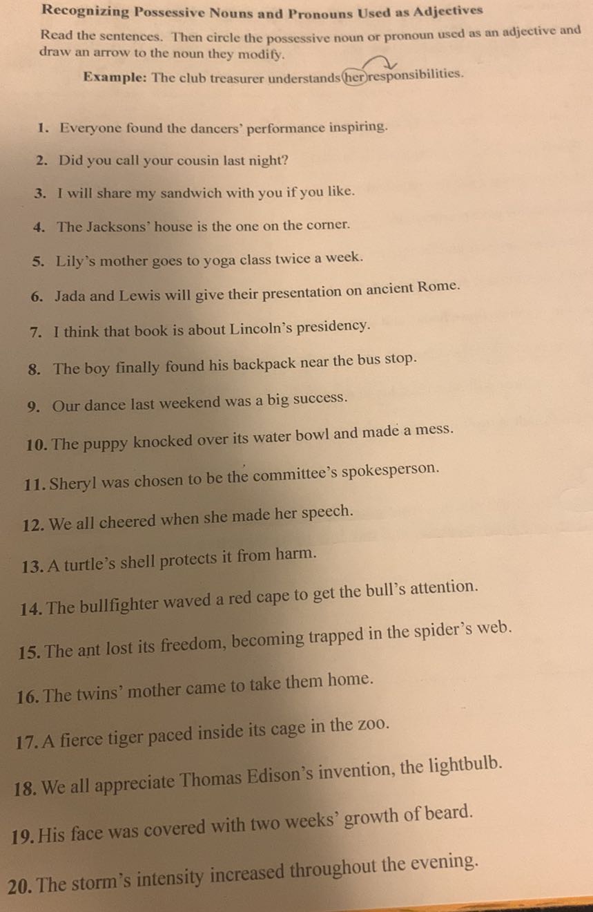 Solved: Recognizing Possessive Nouns and Pronouns Used as Adj