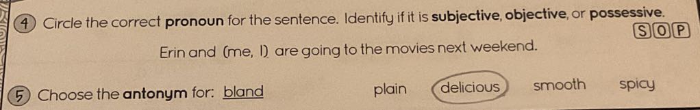 Solved: Circle the correct pronoun for the sentence. Identify i